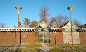 Treasure Island Retail Giant; An Iconic Mid-Century Discount Store