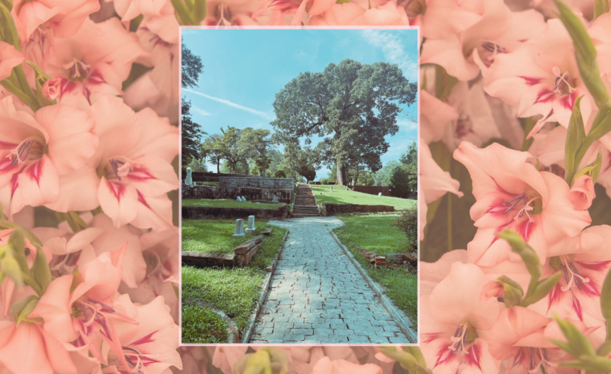 Black Cemeteries: Preserving History and Dignity in Death, Part I ...