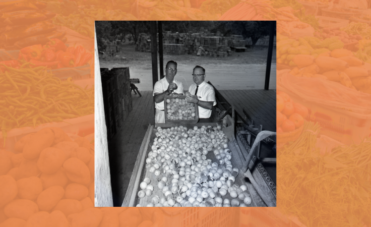 Farmers Markets of Atlanta and Decatur - DeKalb History Center