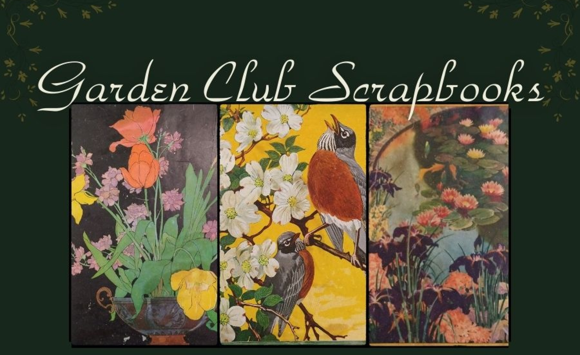Garden Club Scrapbooks: Images from DeKalb Gardens - DeKalb History Center